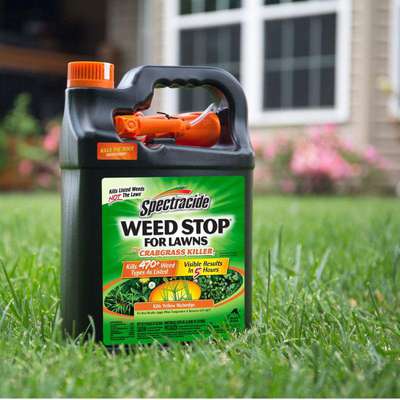933701-9 Spectracide Grass and Weed Killer,1 gal.,Concentrate ...