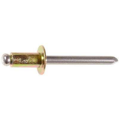 891593 Rivet, Steel 1/4" Dia, Grip 1/8-1/4" Flg Dia 1/2" , | Imperial ...