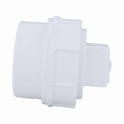 924880-2 Cleanout Adapter with Plug: Schedule 40, 2 in x 2 in Fitting ...