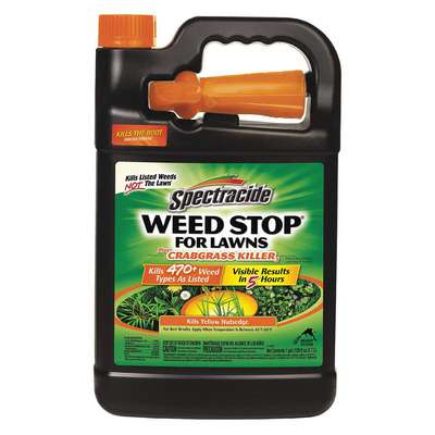 933701-9 Spectracide Grass and Weed Killer,1 gal.,Concentrate ...