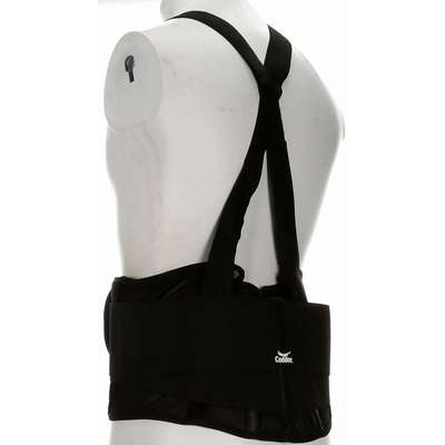 912434-5 Condor Back Support with Stay: XL Back Support Size, 8 1/2 in ...