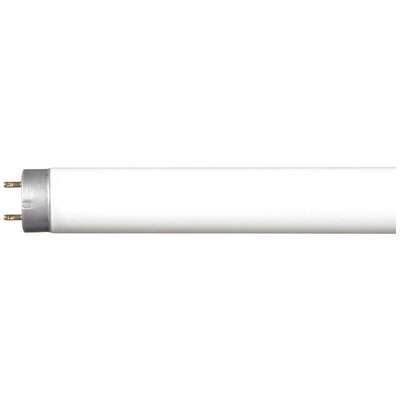 929004-5 GE Lighting 70" 70 Watts Linear Fluorescent Lamp, T8, Medium ...
