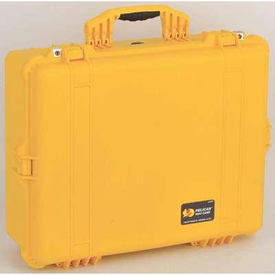 930546-9 Protector C Protective Case, 24-1/4" Overall Length, 19-1/2 ...