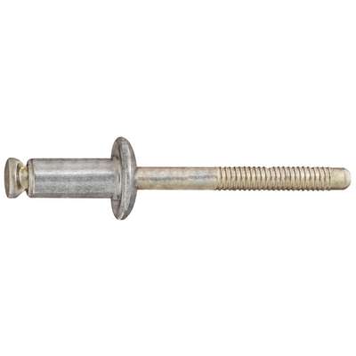 813453 Peel-Type Rivet, Rivet Head Diameter 1/4", Flange Diameter 1/2 ...