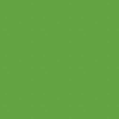 929240-5 Rust-Oleum Construction Marking Paint: Inverted Paint ...