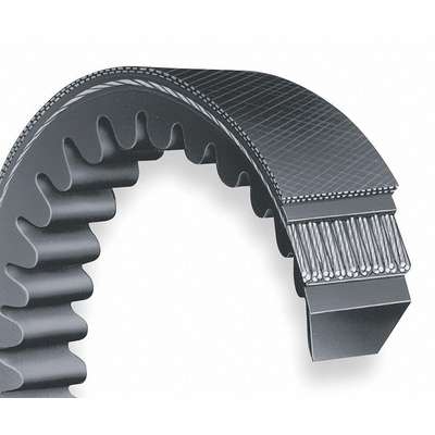 DAYTON 3VX360 Cogged V-Belt, Length 36 in., Thickness 5/16 in., Width 3 ...