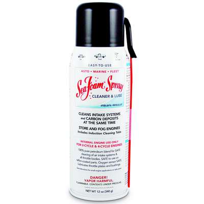 6739 Sea Foam Petroleum Hydrocarbon Odor Engine Cleaner & Lube, 12 oz ...