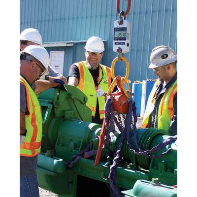 923472-6 MSI 10,000 lb. Capacity Crane Dynamometer, +/- 0.1% Scale ...