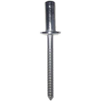 75821 Closed End Rivet 3/16" Diameter, Stainless Steel Body/Stainless ...
