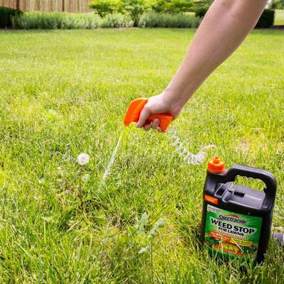 933701-9 Spectracide Grass and Weed Killer,1 gal.,Concentrate ...
