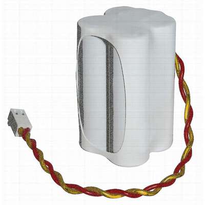 929842-6 Dual-Lite Battery: LXW-13-X2/LXW-15-X2/LXW-16-X2, Nickel ...