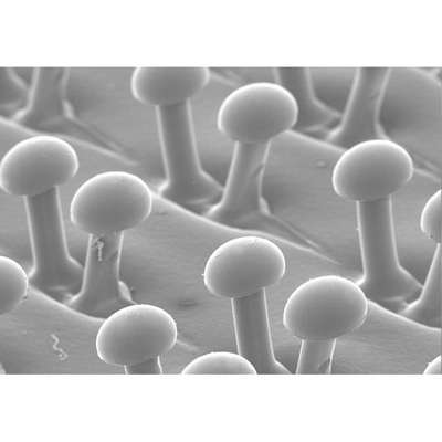 910672-9 3M 3" Hook-and-Loop Disc BackuPad, 1/4" Straight Shaft Back ...