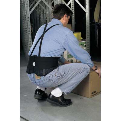 910906-4 Condor Back Support with Stay: L Back Support Size, 8 1/2 in ...