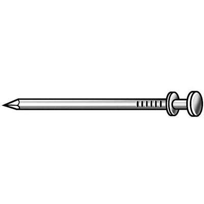 920092-4 Steel Scaffold Nail with Double Head Type, 10-1/4 Gauge, 2-1/4 ...