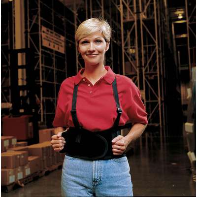 917624-2 Condor Back Support with Stay: L Back Support Size, 8 1/2 in ...