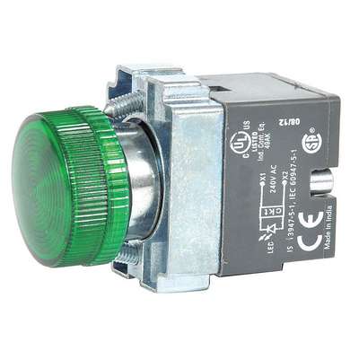 929661-1 Dayton Pilot Light Complete, 22 mm, 120V AC Voltage, Lamp Type ...