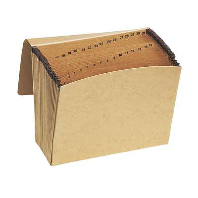 939021 Pendaflex Daily (1-31) Expandable File: 31 Pockets, Kraft ...