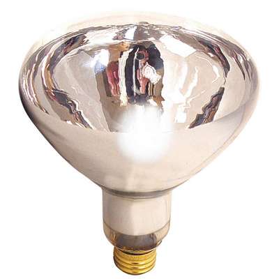 940584-9 Satco Incandescent Reflector Bulb: R40, Medium Screw (E26 ...