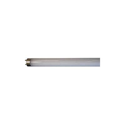 937164-9 Shat-R-Shield Linear LED Bulb, Type A, T8, Medium Bi-Pin (G13 ...