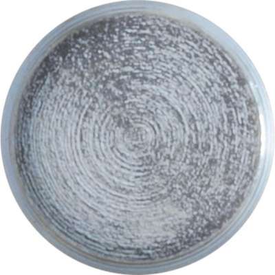 817972 GM Window Regulator Roller Rivet | Imperial Supplies